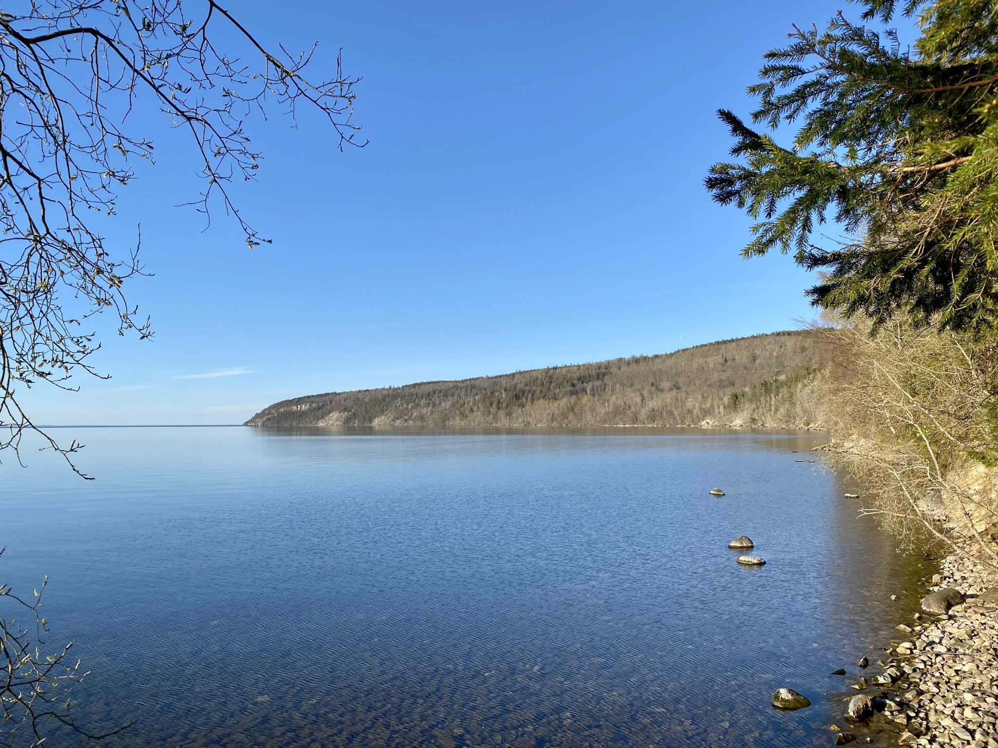 Att vandra Älvarumsleden på Omberg — lite mera rosa