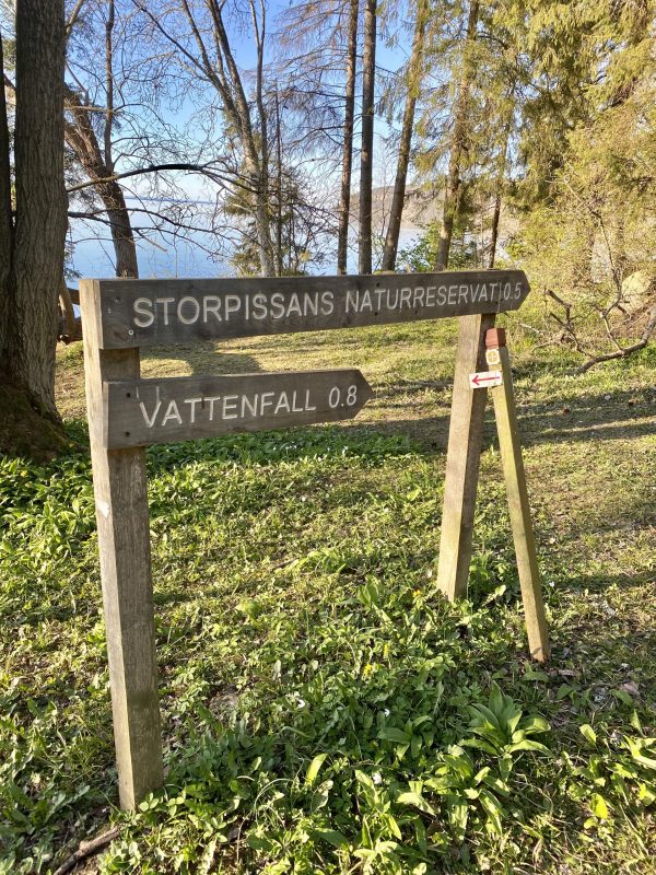 Att vandra Älvarumsleden på Omberg — lite mera rosa