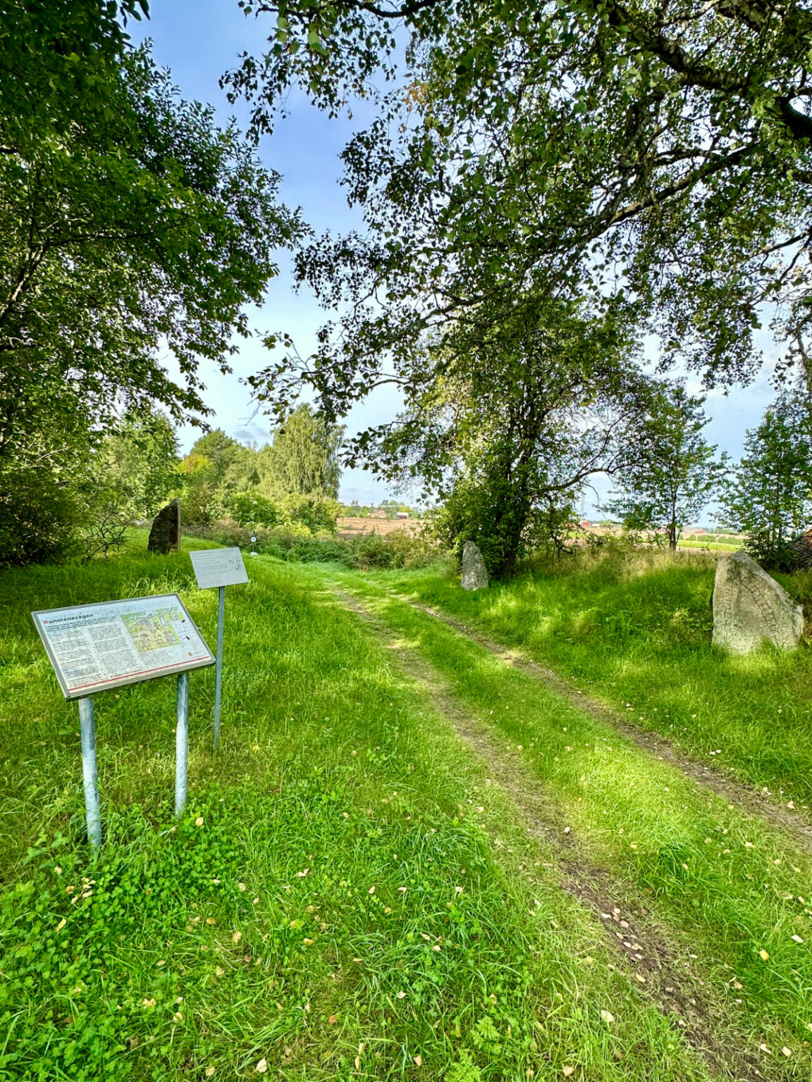50 nya tips på upplevelser i Östergötland — lite mera rosa