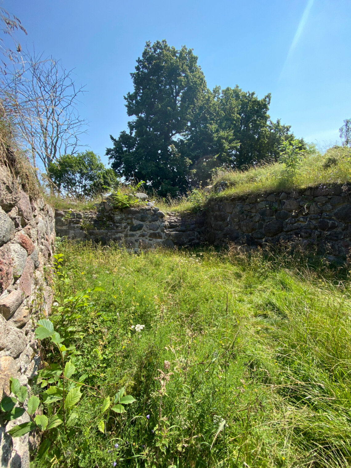 En vandring till Birgittas udde — lite mera rosa