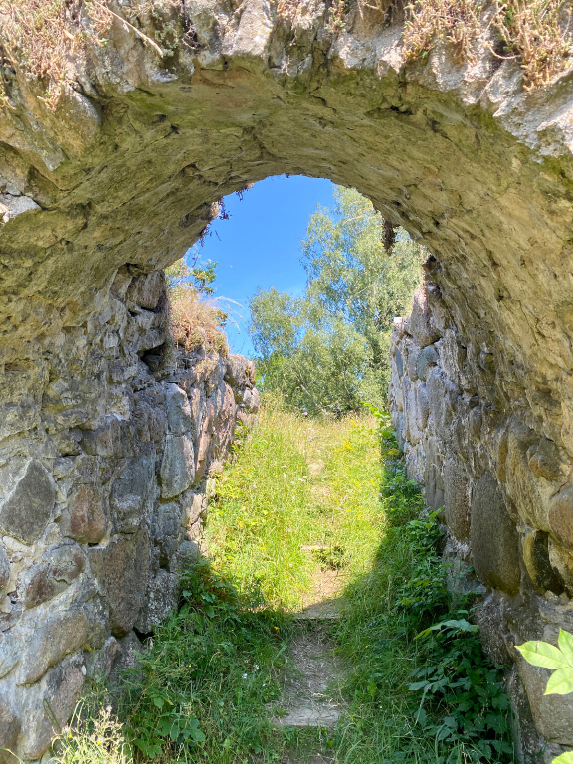 En vandring till Birgittas udde — lite mera rosa