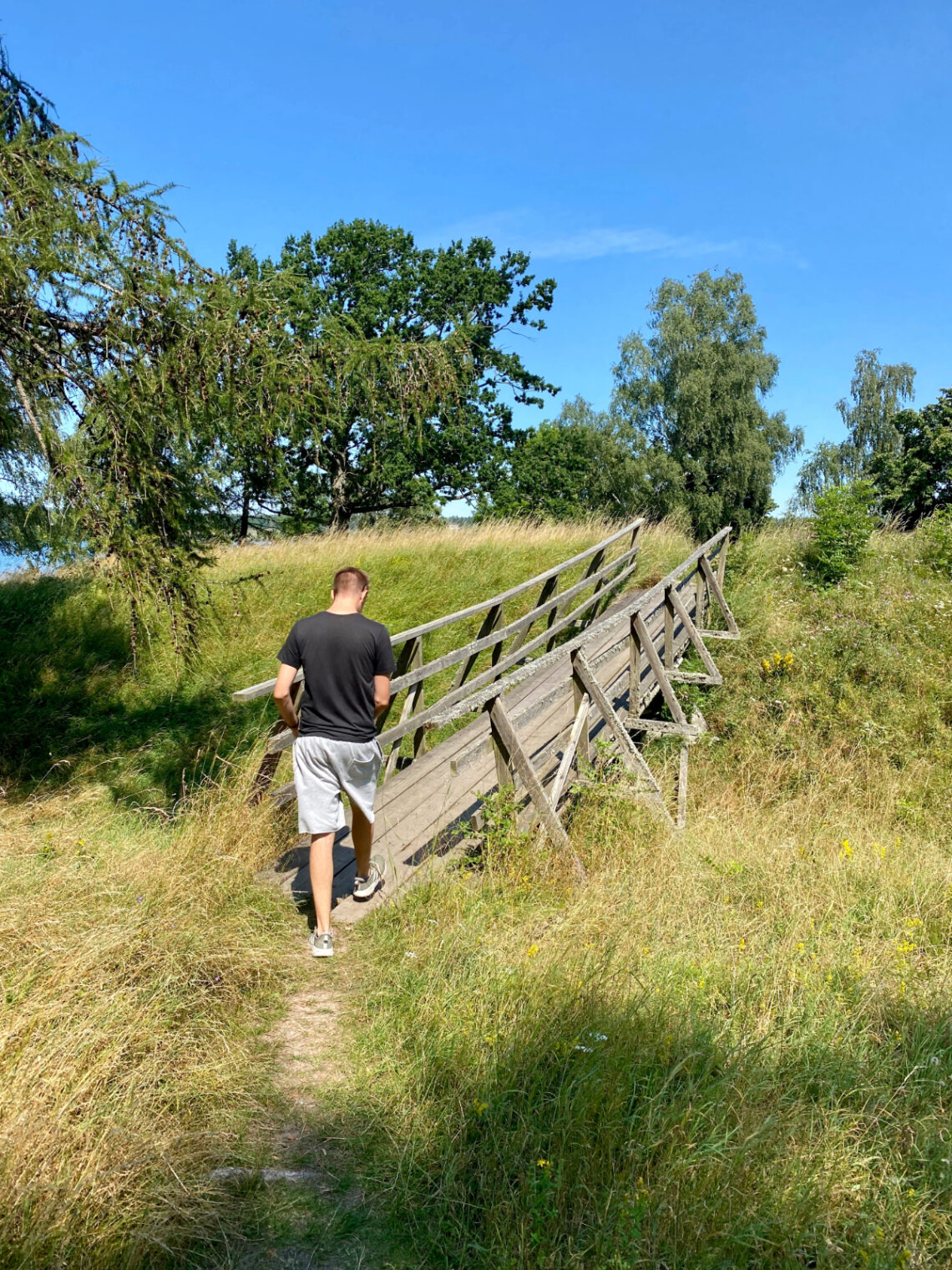 En vandring till Birgittas udde — lite mera rosa