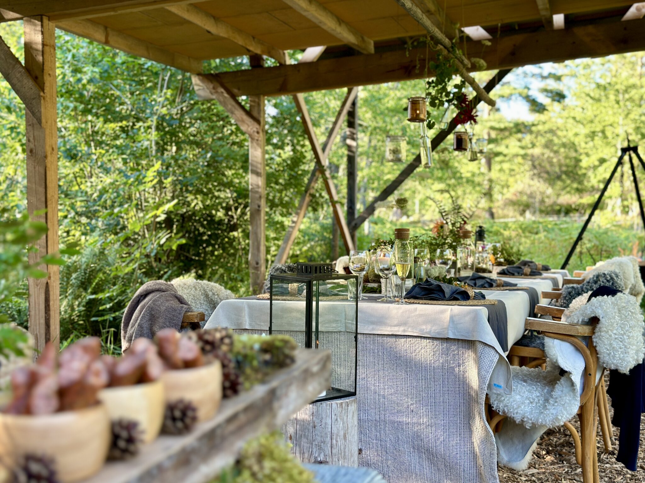 Finmiddag i skogen hos Naturlogi — lite mera rosa